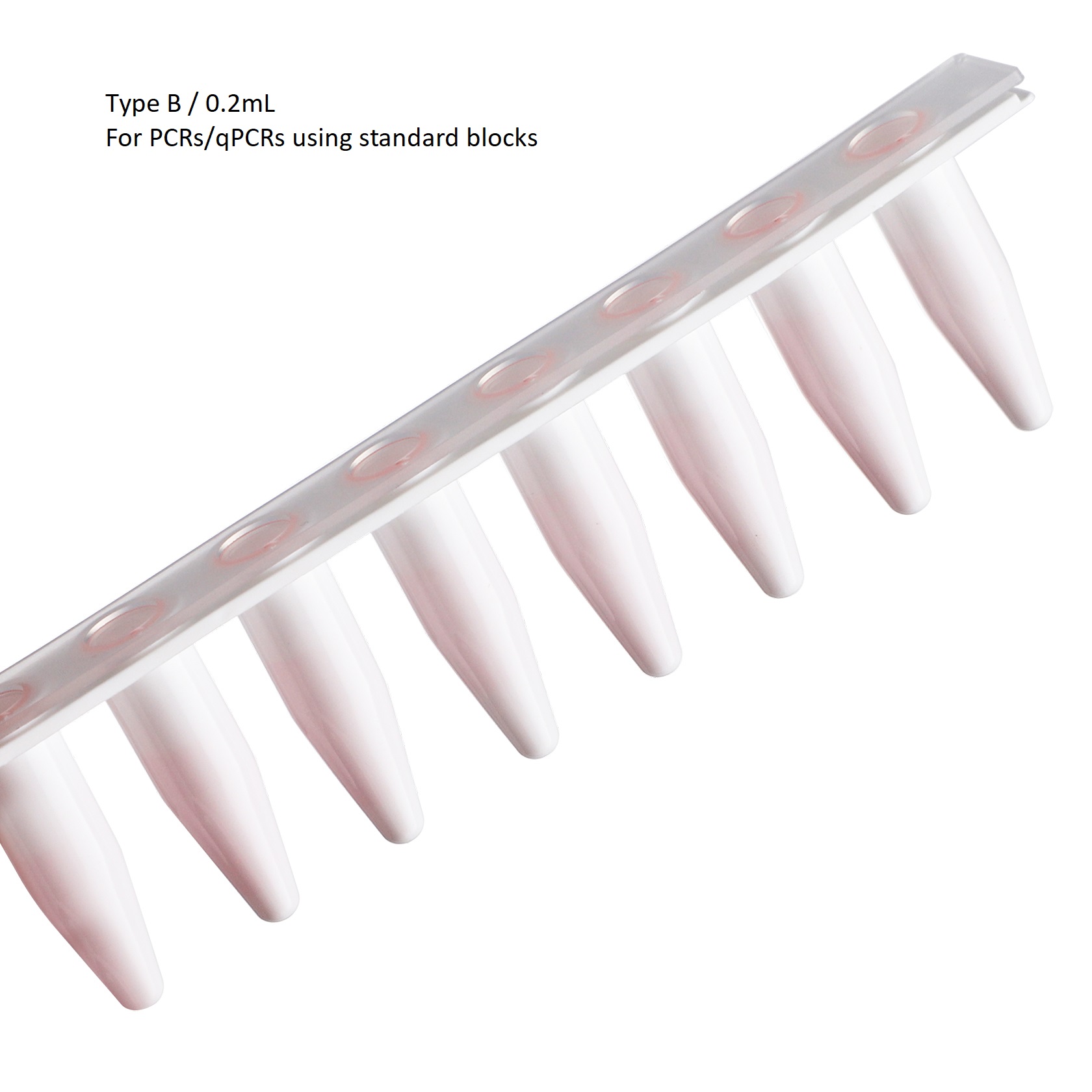 8-strip PCR Tube｜PCR 8 strip tubes｜PCR 8 strip Tube manufacturer - FOUR ...